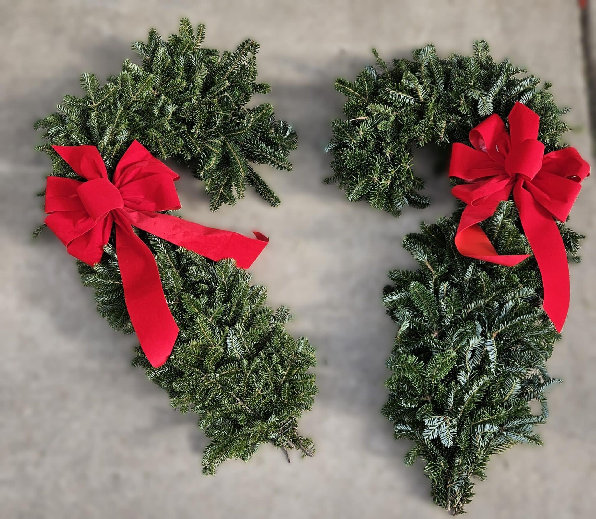 Winter at Honeymoon Acres : Honeymoon Acres Greenhouse